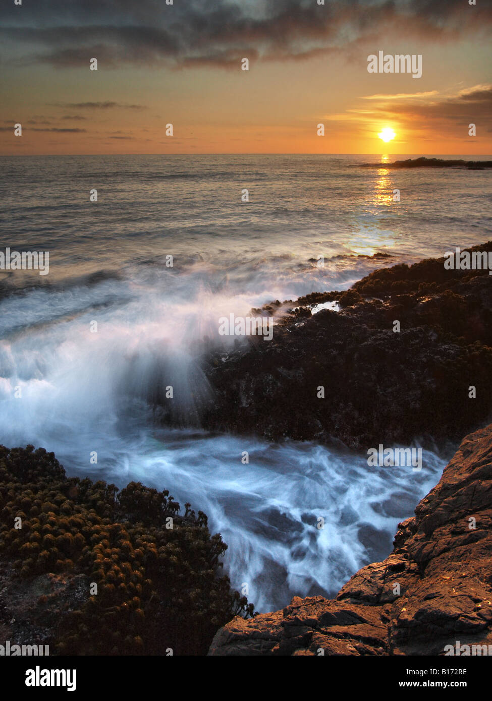 Mendocino coast northern california hi-res stock photography and images ...