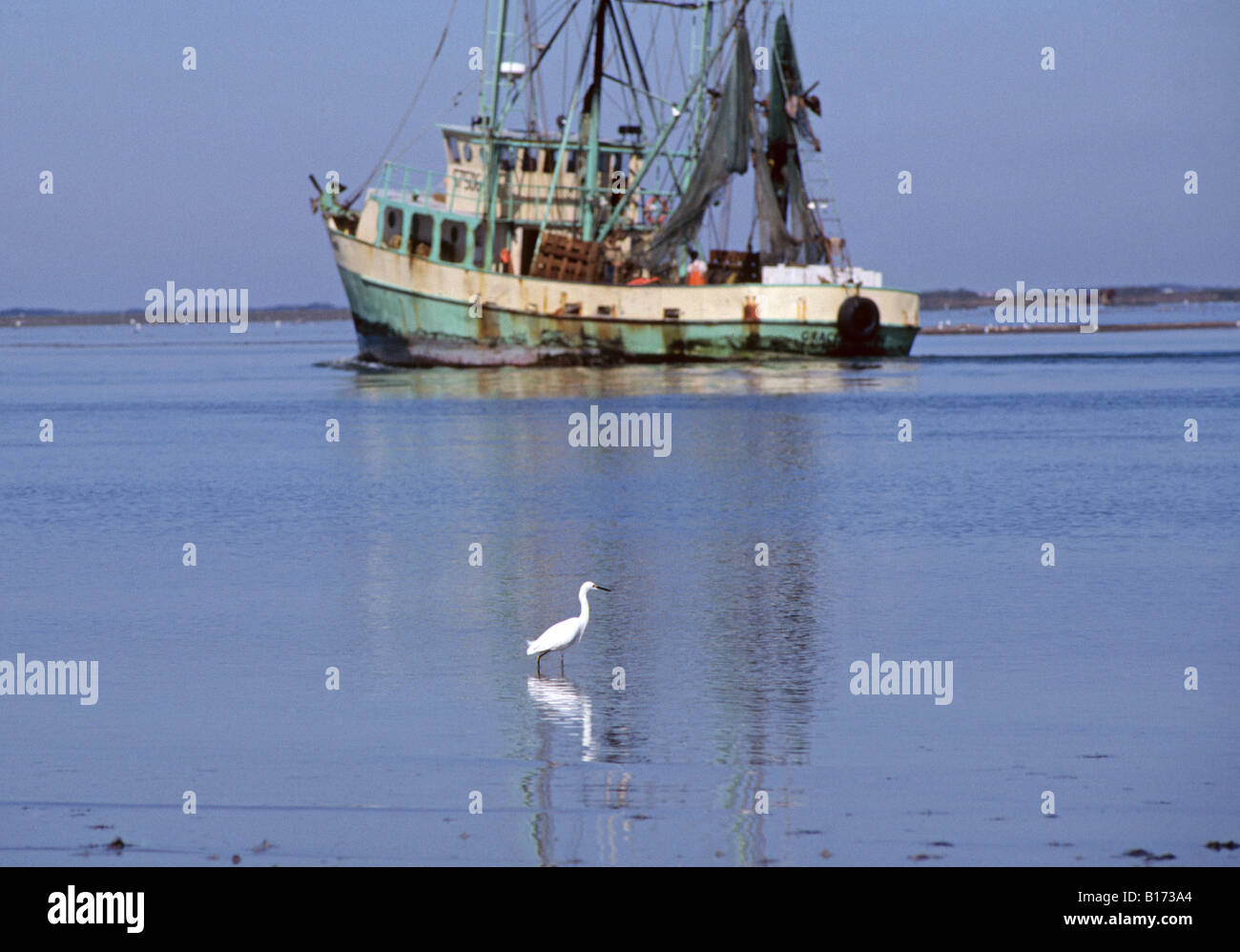Shrimp trawler gulf hi-res stock photography and images - Alamy