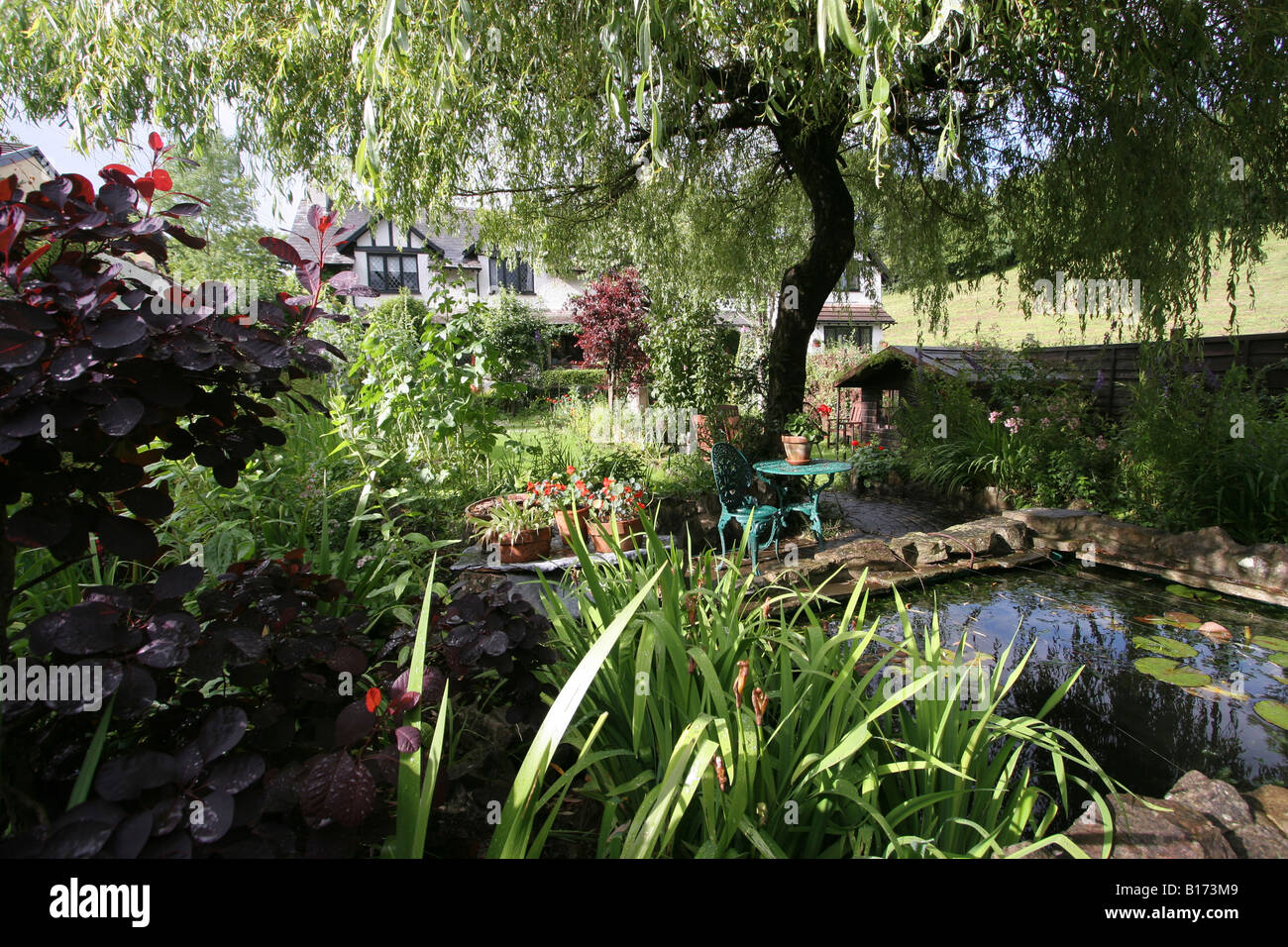 Fish pond d hi-res stock photography and images - Alamy