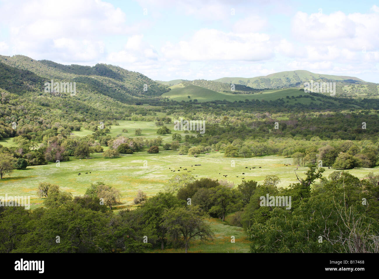 Green springtime valley Stock Photo - Alamy