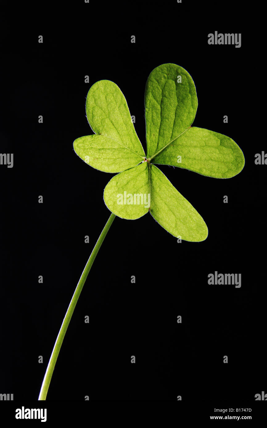 Traditional irish blessing hi-res stock photography and images - Alamy