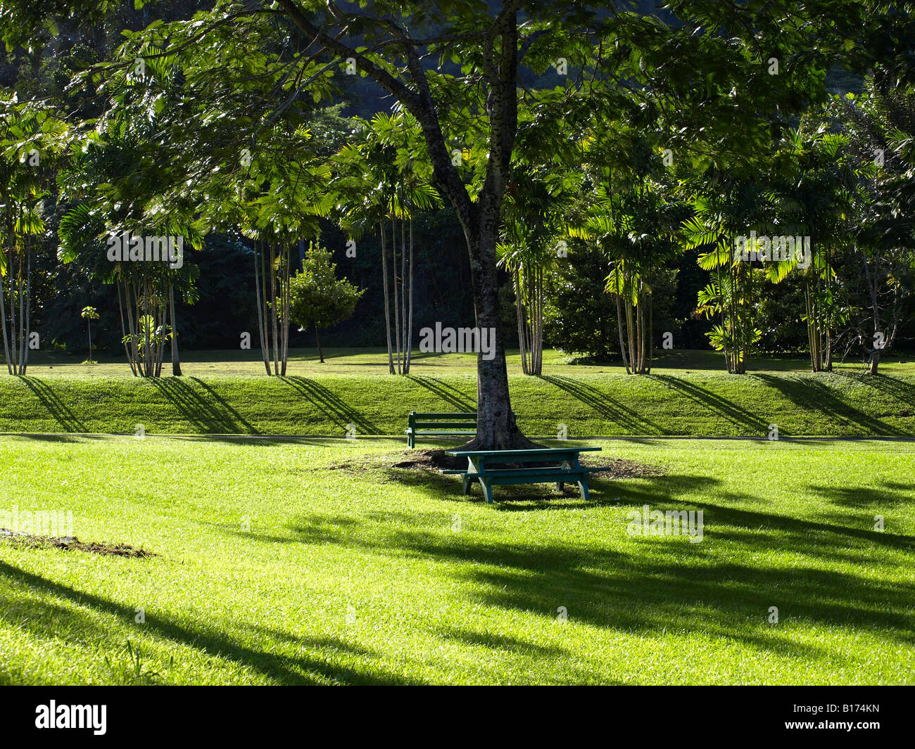 picnic table in the park Stock Photo - Alamy