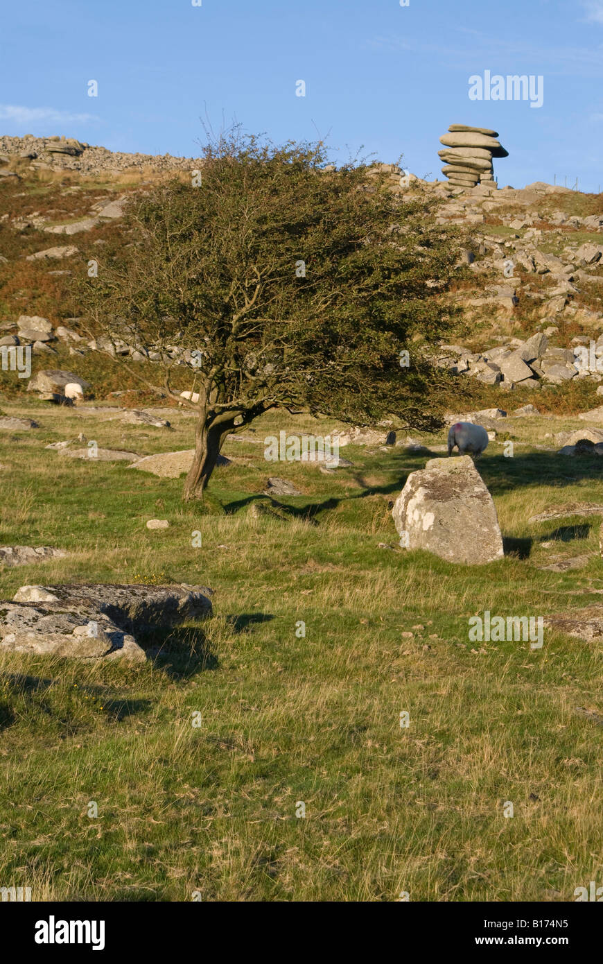 The Cheesewring on Bodmin Moor Stock Photo - Alamy