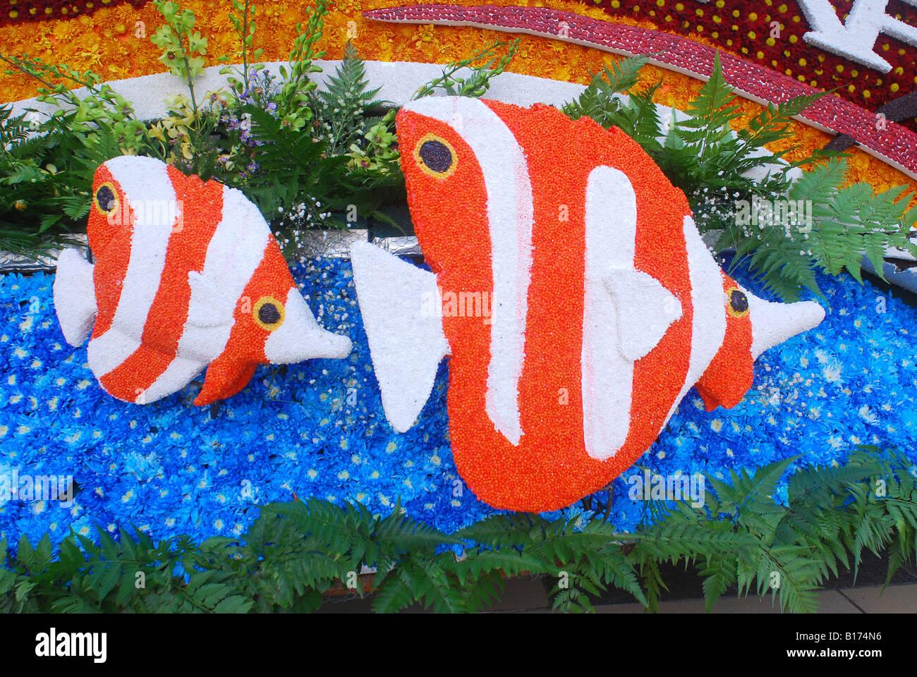 Artistic flora composition of Angel Fish Stock Photo - Alamy