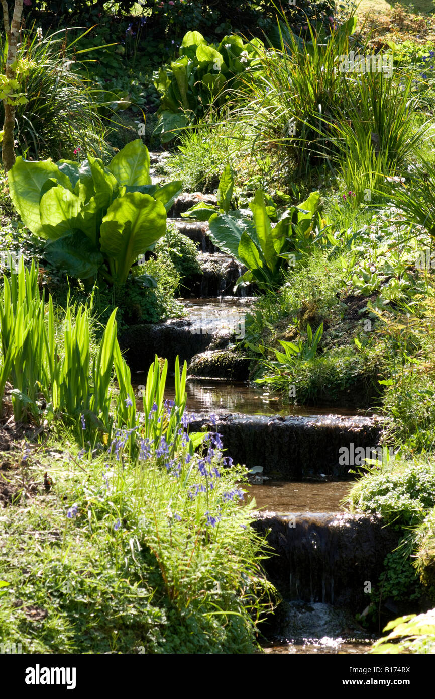 Stream rocks spring hi-res stock photography and images - Alamy
