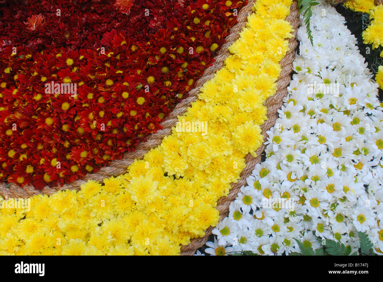Artistic flowers composition Stock Photo - Alamy