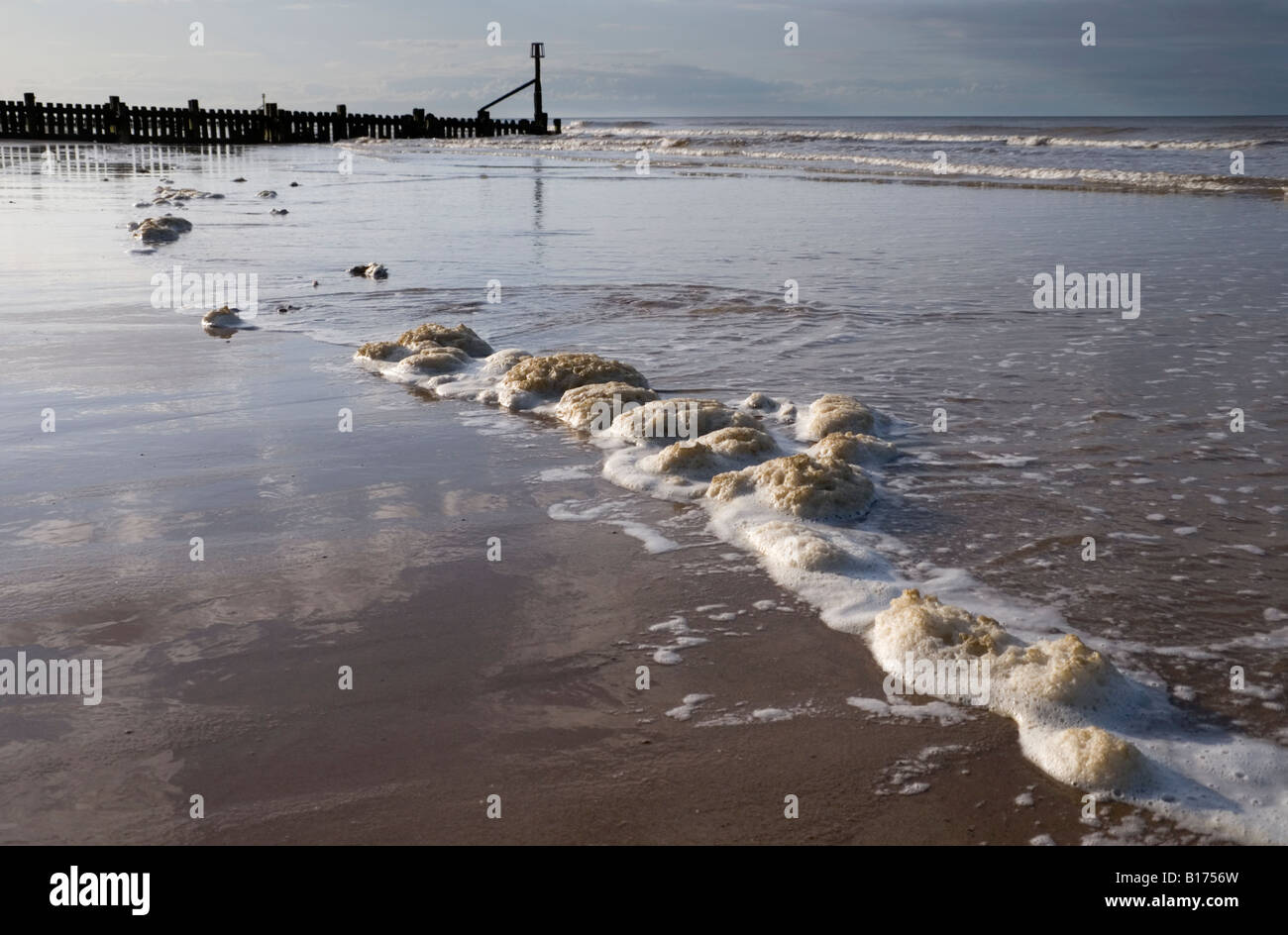 Contanimation hi-res stock photography and images - Alamy