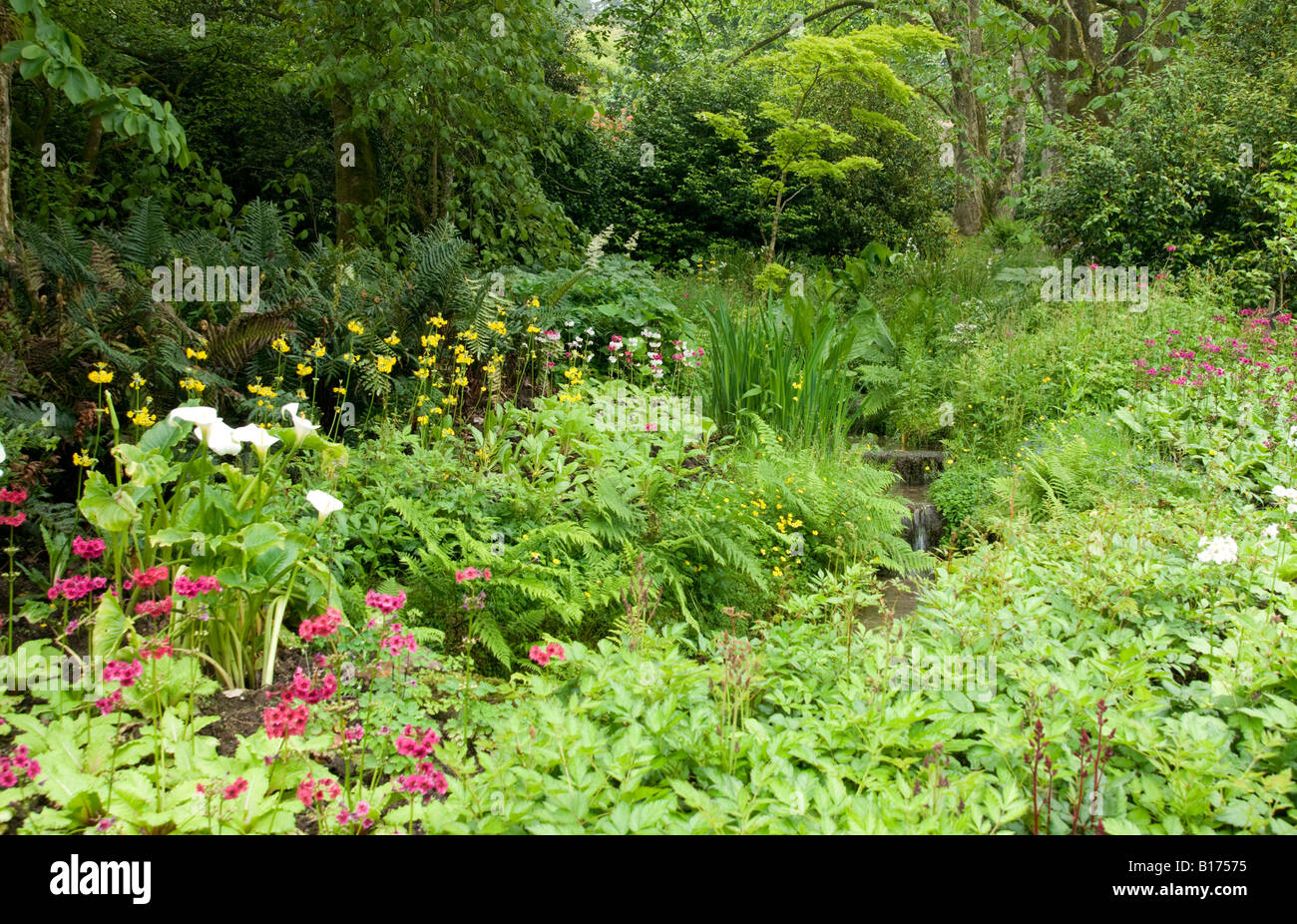 Stream and trees hi-res stock photography and images - Alamy