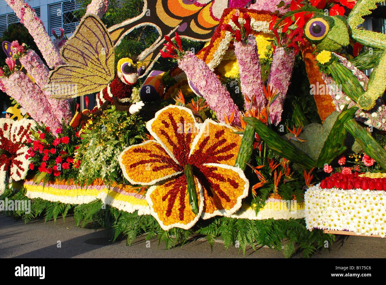 Artistic flower composition of nature Stock Photo - Alamy