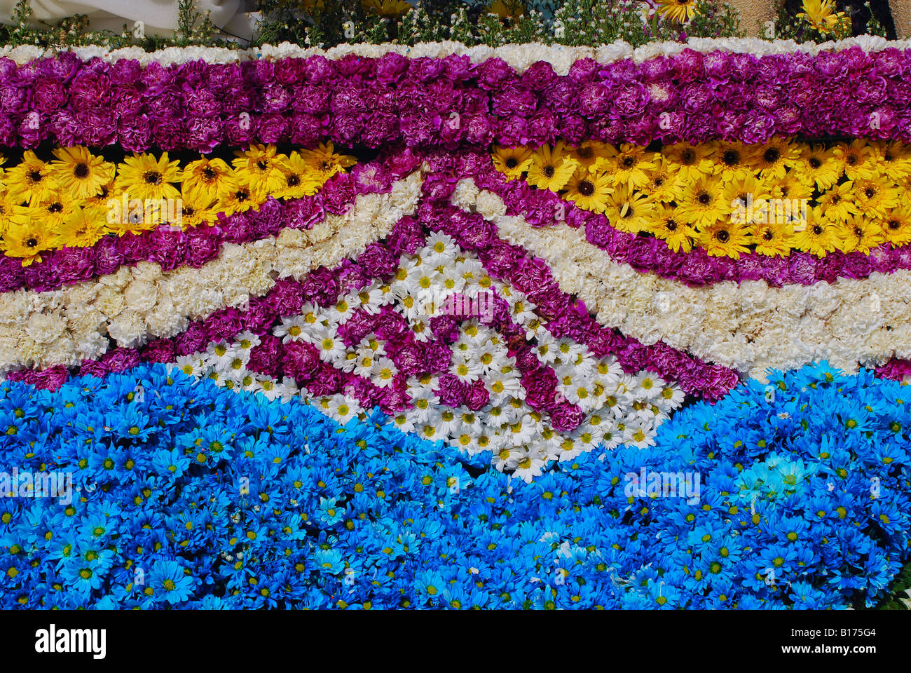 Artistic floral composition of flowers Stock Photo - Alamy