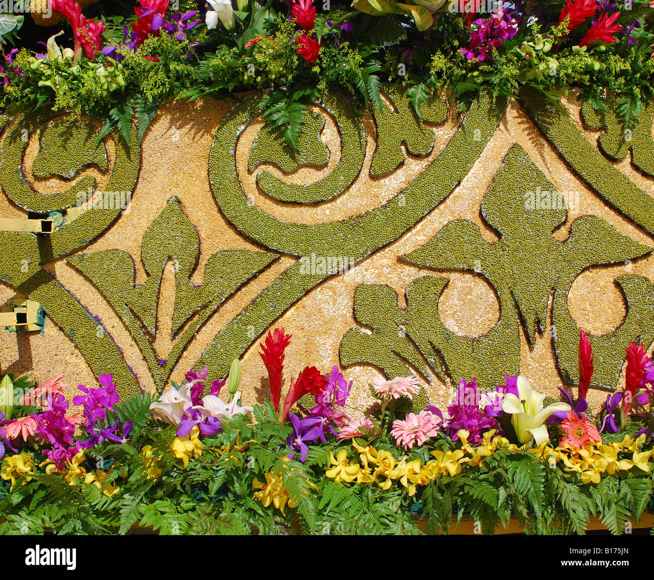 Artistic floral composition Stock Photo - Alamy