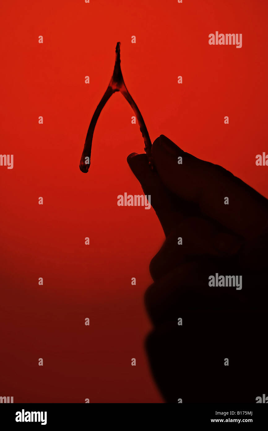 Chicken wishbone hi-res stock photography and images - Alamy