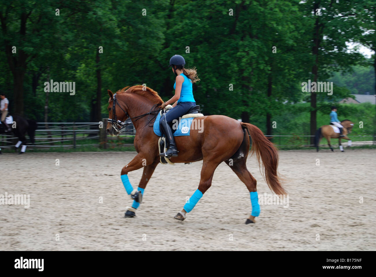 equine dressage practice Stock Photo - Alamy