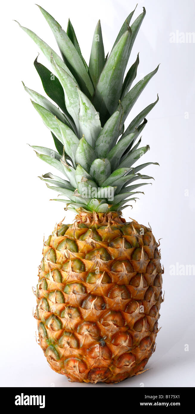 Pineapple fridge hi-res stock photography and images - Alamy