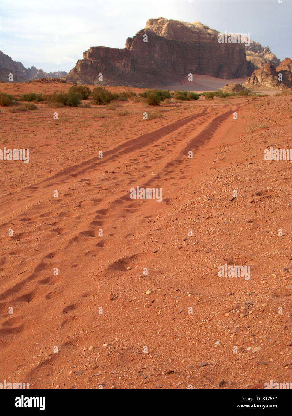 Car tracks in the Wadi Rum desert, Jordan Stock Photo - Alamy