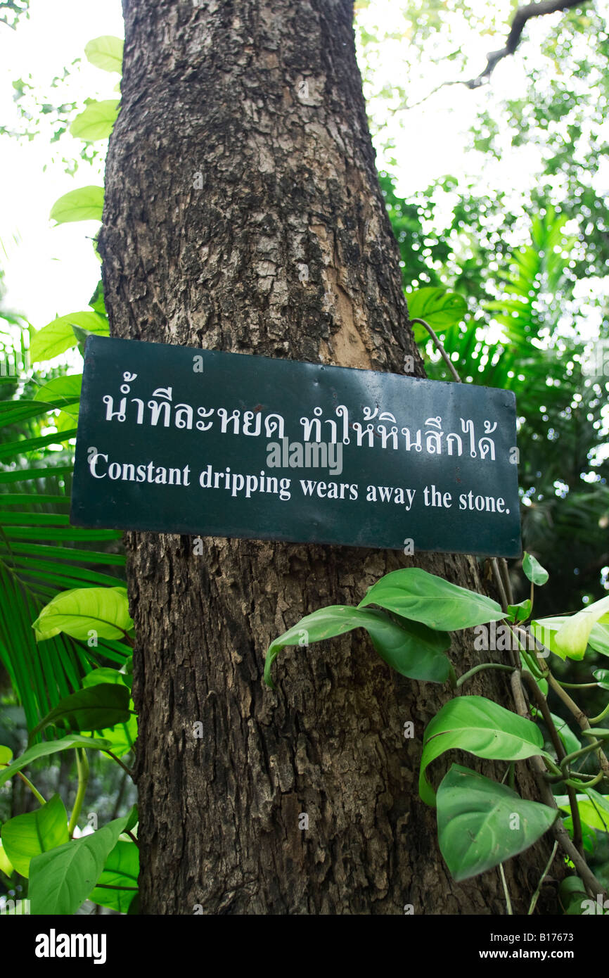 a aphorism sign on a tree in the grounds of a buddhist temple Stock ...