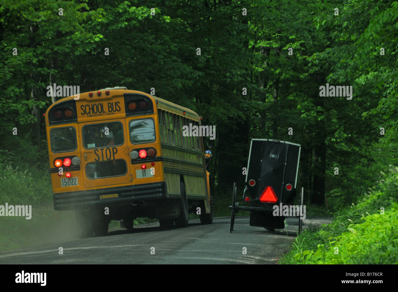 School bus passing horse and buggy on county road Stock Photo - Alamy