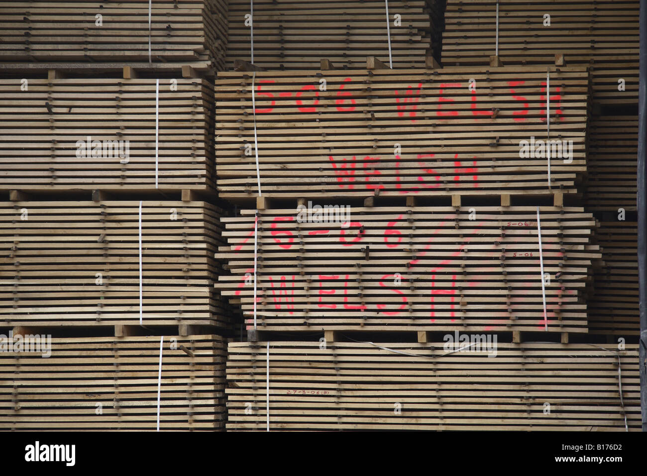 Welsh plant hi-res stock photography and images - Alamy