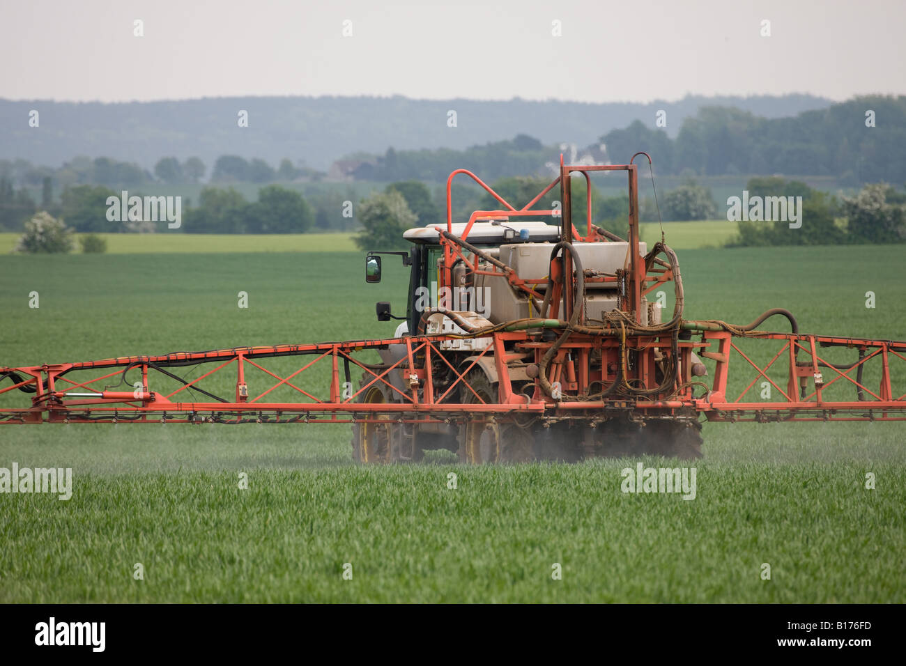Crop spraying machine spraying wheat field Stock Photo - Alamy