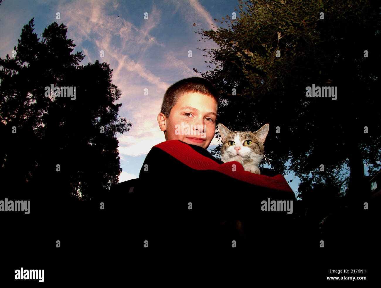 Young boy with his pet cat Stock Photo - Alamy