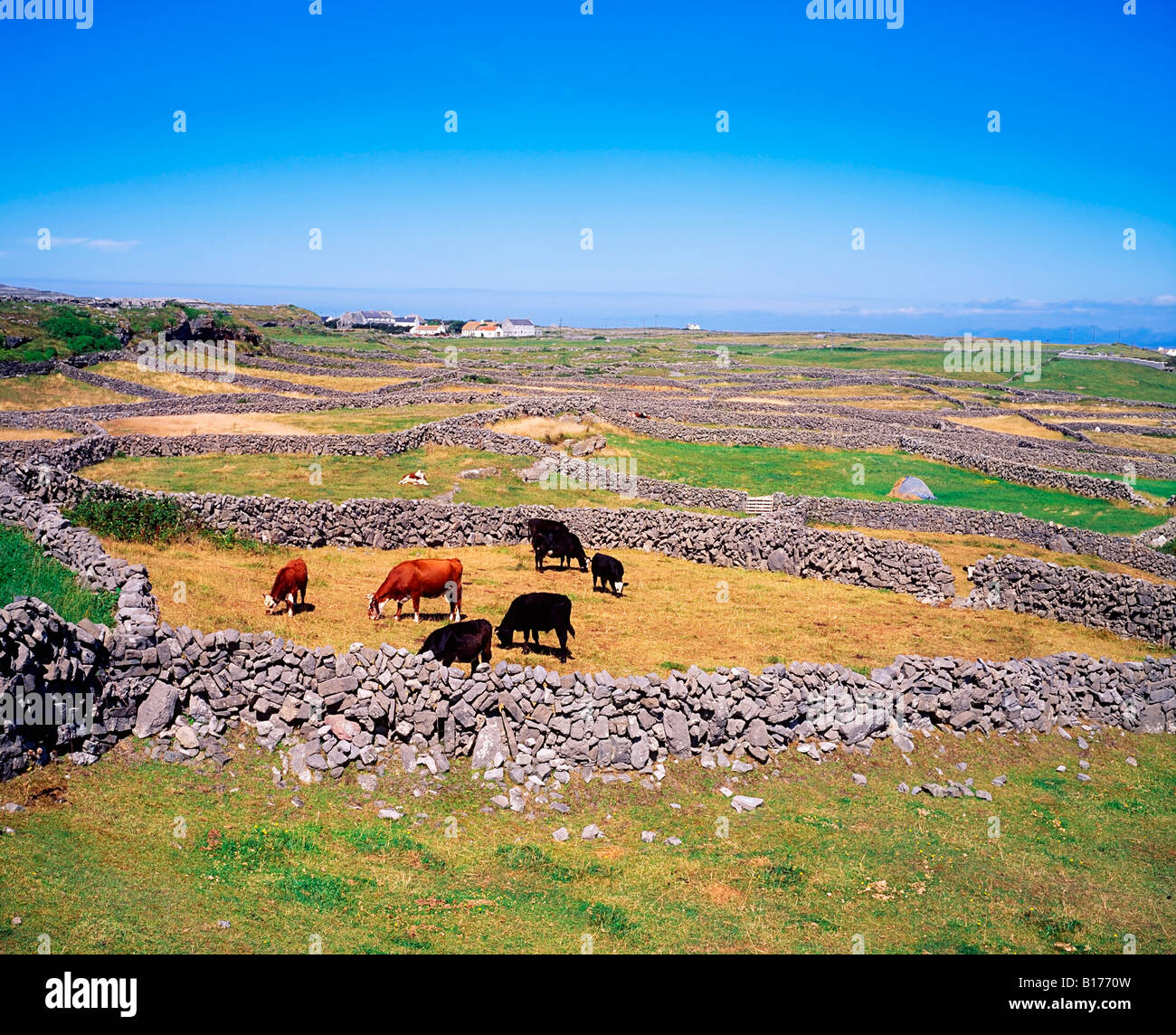 Kilmurvey, Inishmore, Aran Islands, County Galway, Ireland Stock Photo ...