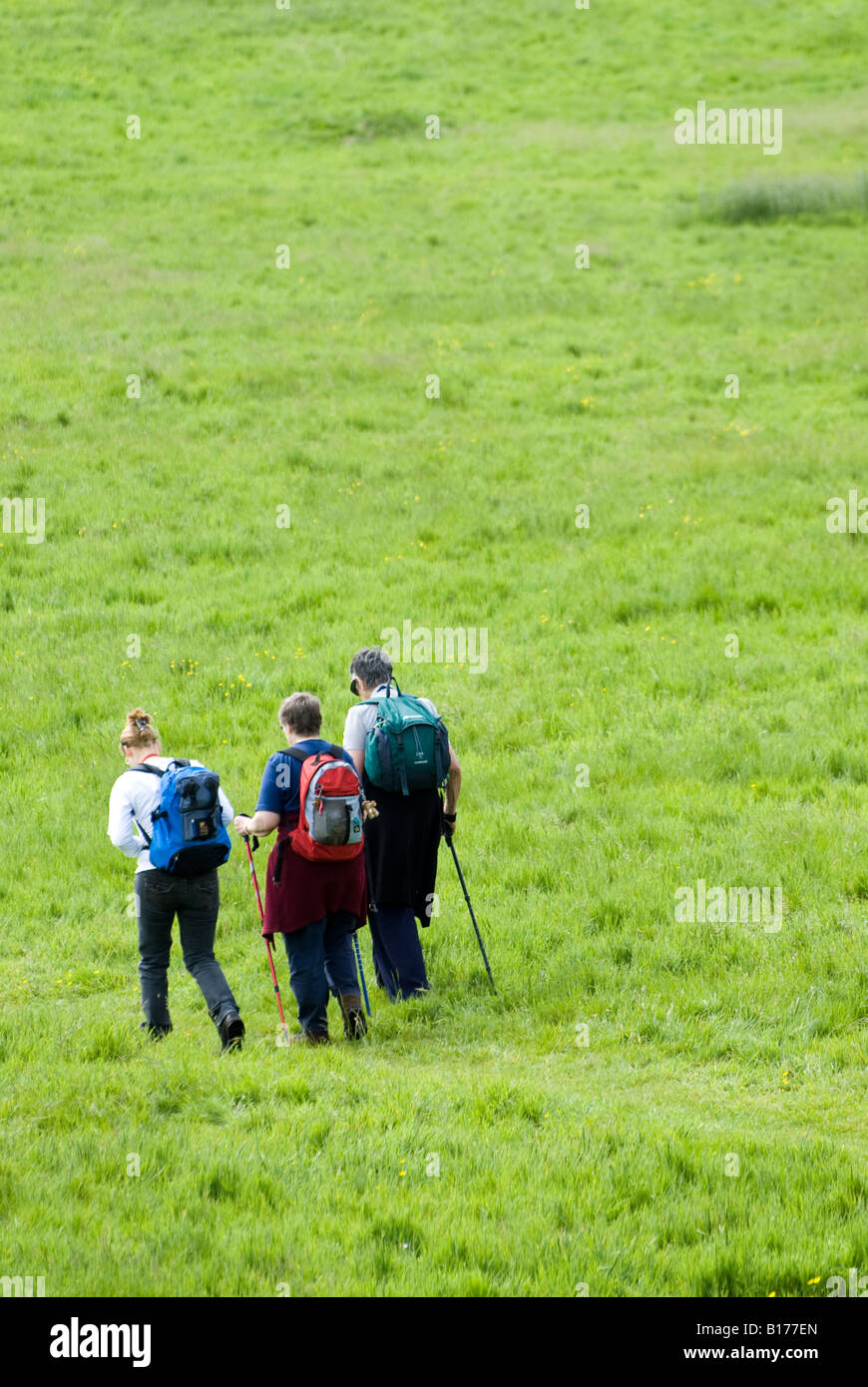 three ramblers in field Stock Photo - Alamy