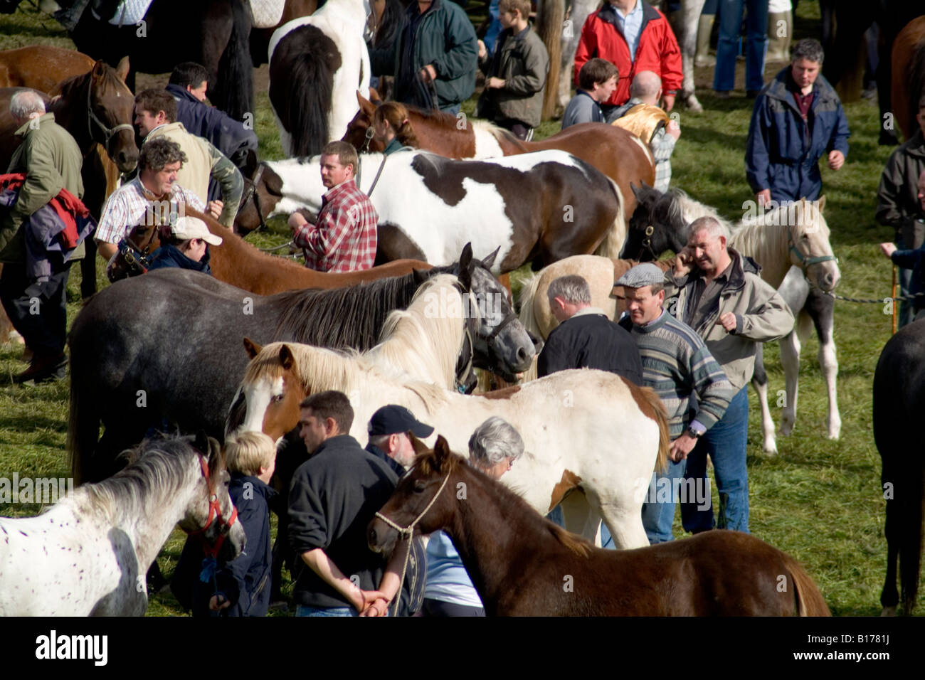 Ballinasloe horse fair hi-res stock photography and images - Alamy