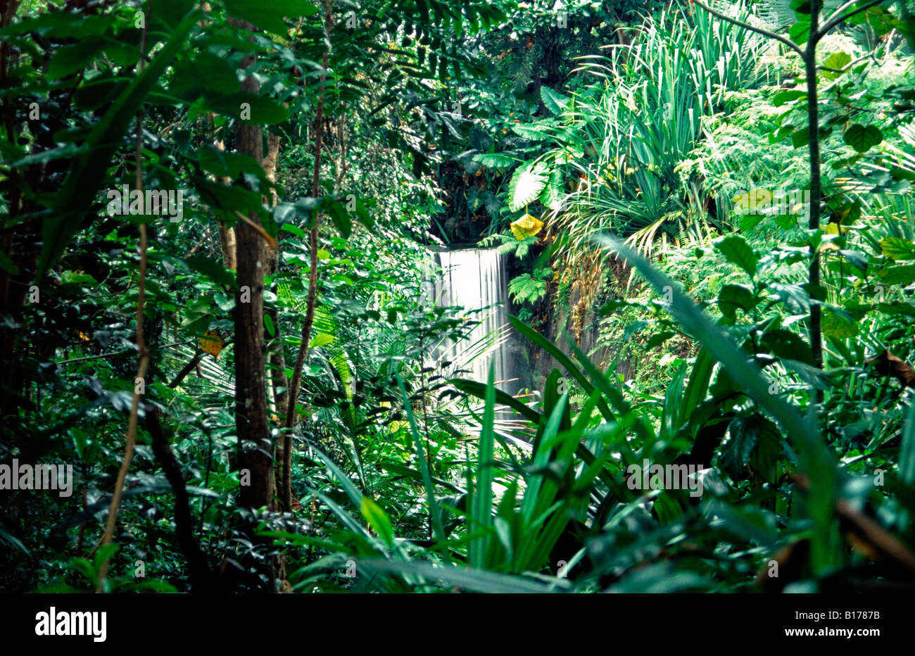 Selva waterfall hi-res stock photography and images - Alamy