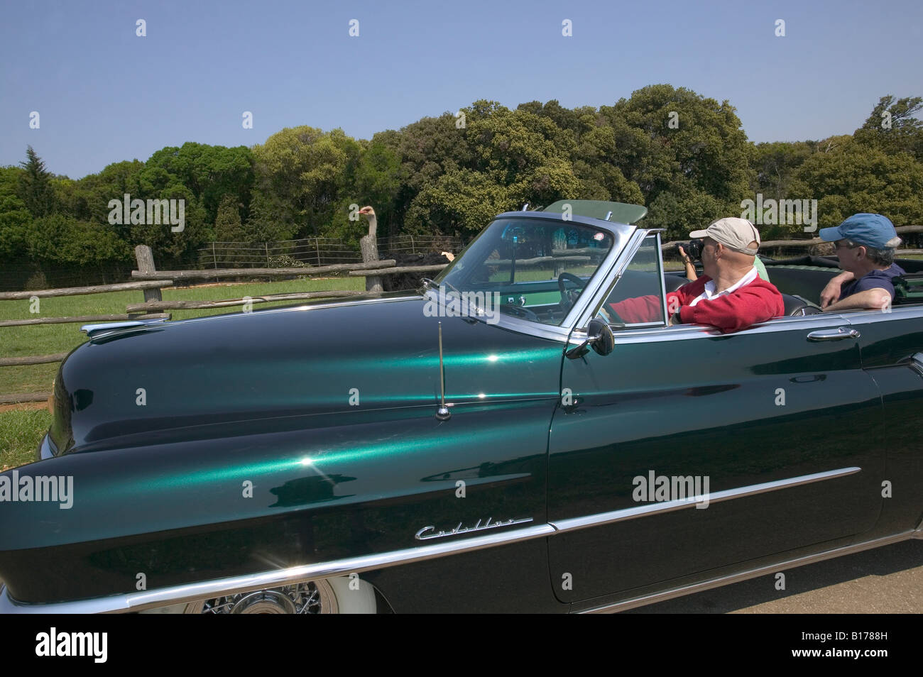 Former Croatian dictator Tito's Eldorado Cadillac, Brijuni Brioni ...