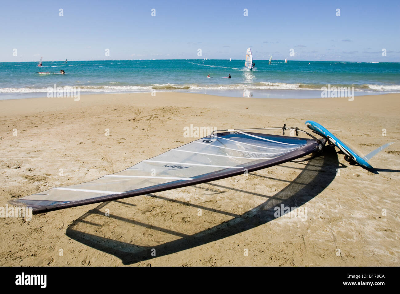 Windsurfer light blue sail hi-res stock photography and images - Alamy