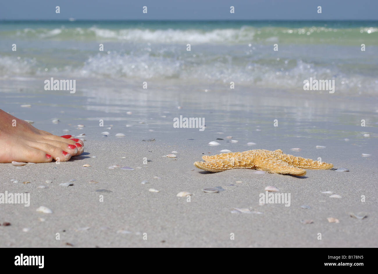 Starfish on the beach with woman foot, waves and sky in background ...