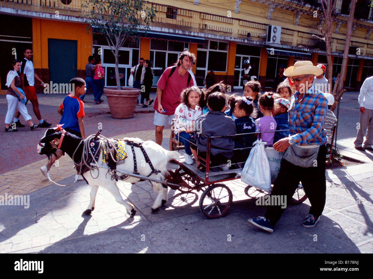 Children riding goats and horses Havana Cuba Stock Photo - Alamy