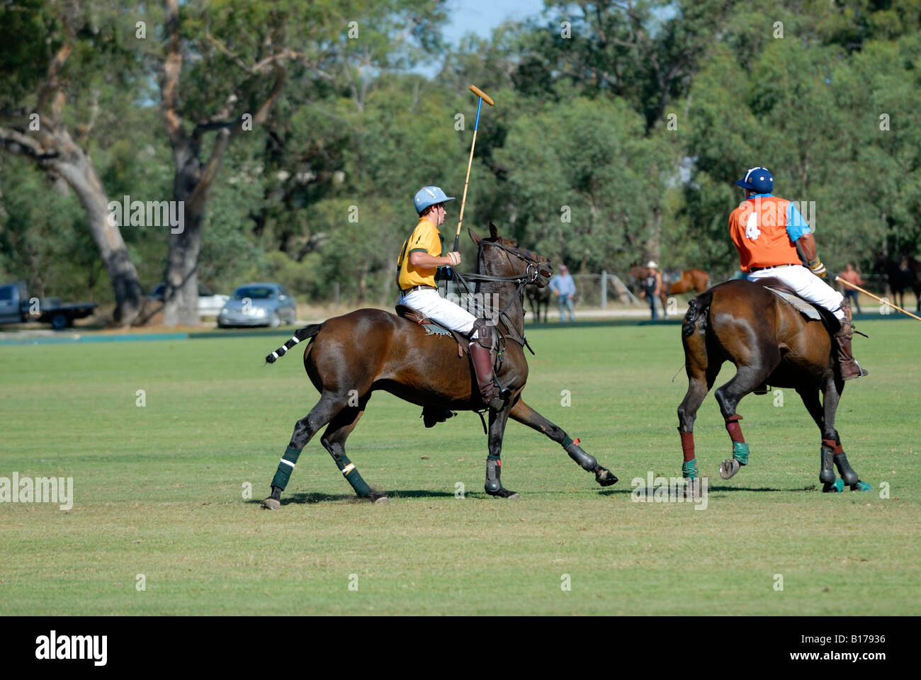 game of polo in progress, two ponies Stock Photo - Alamy