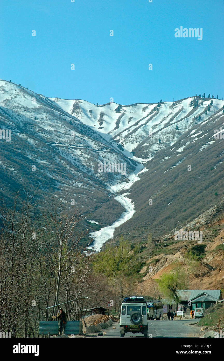 Kashmir tree hi-res stock photography and images - Alamy