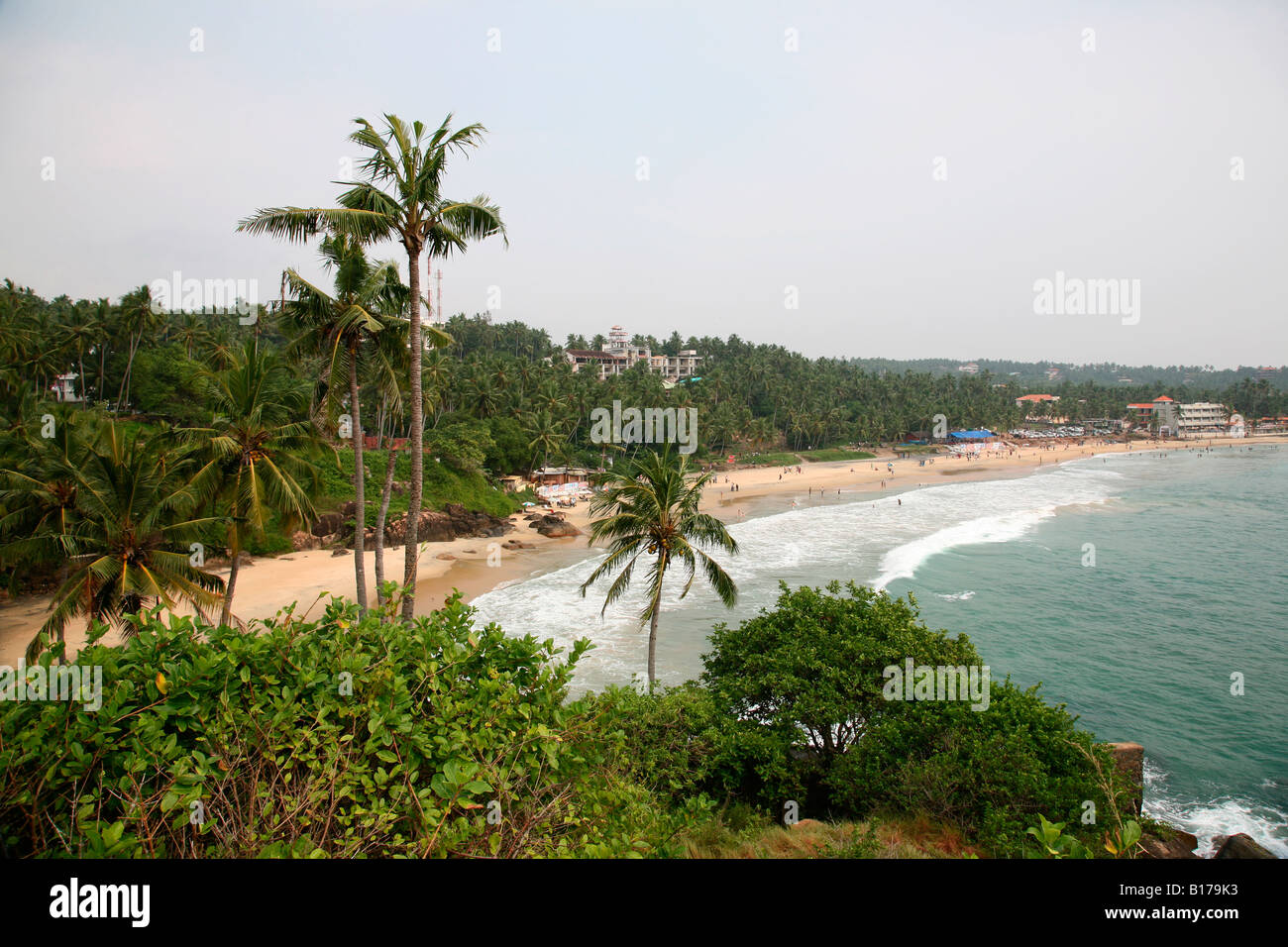 Coconut plantation kerala hi-res stock photography and images - Alamy