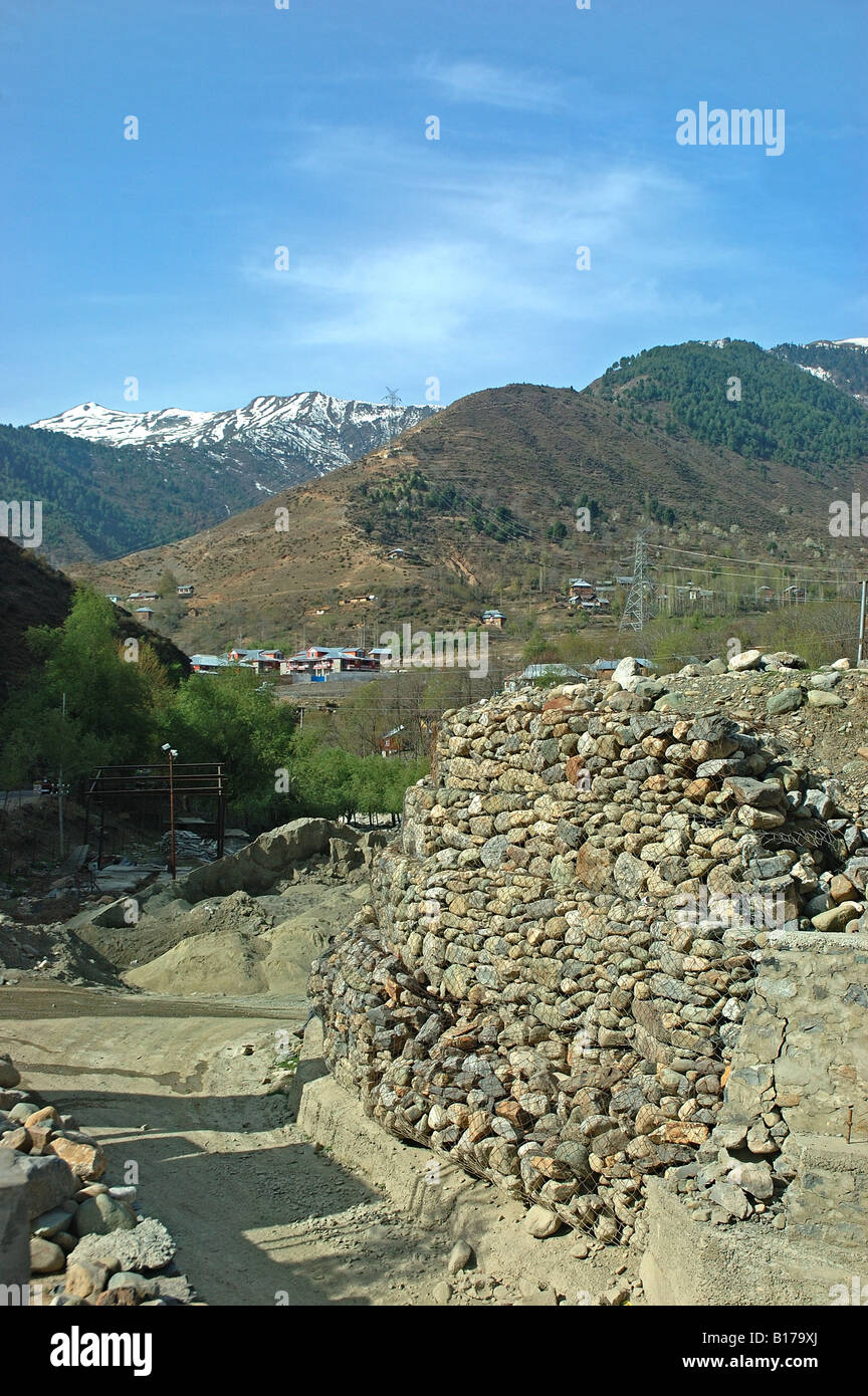 Kashmir tree hi-res stock photography and images - Alamy