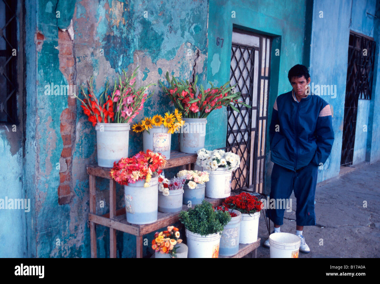 Man selling flowers Havana Cuba Stock Photo - Alamy