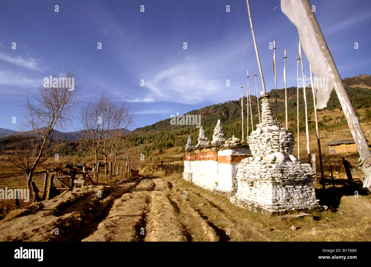 Bhutan Jakar Bumthang Valley chortens at Tamzhing Monastery Stock Photo ...