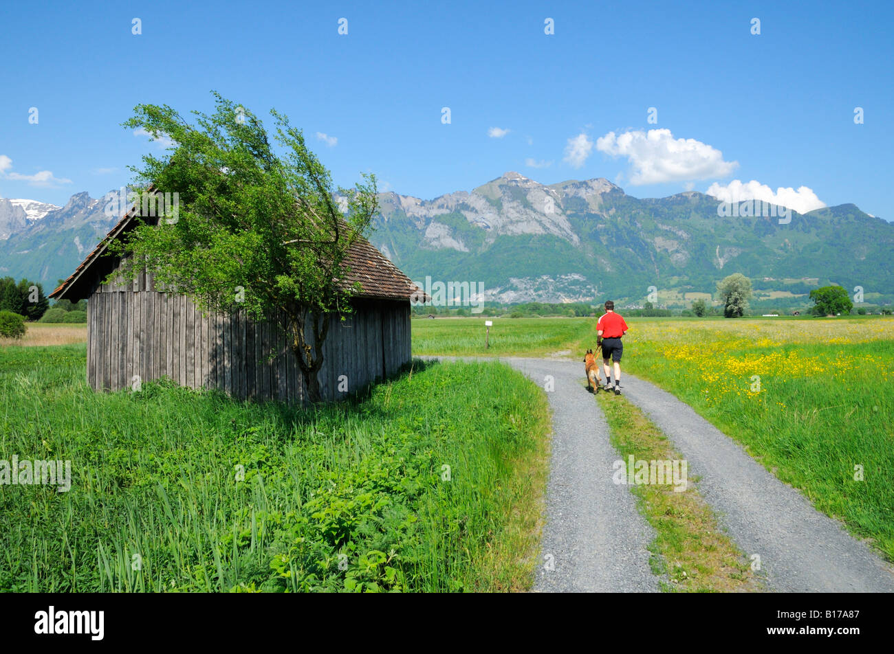 Ruggeller riet hi-res stock photography and images - Alamy