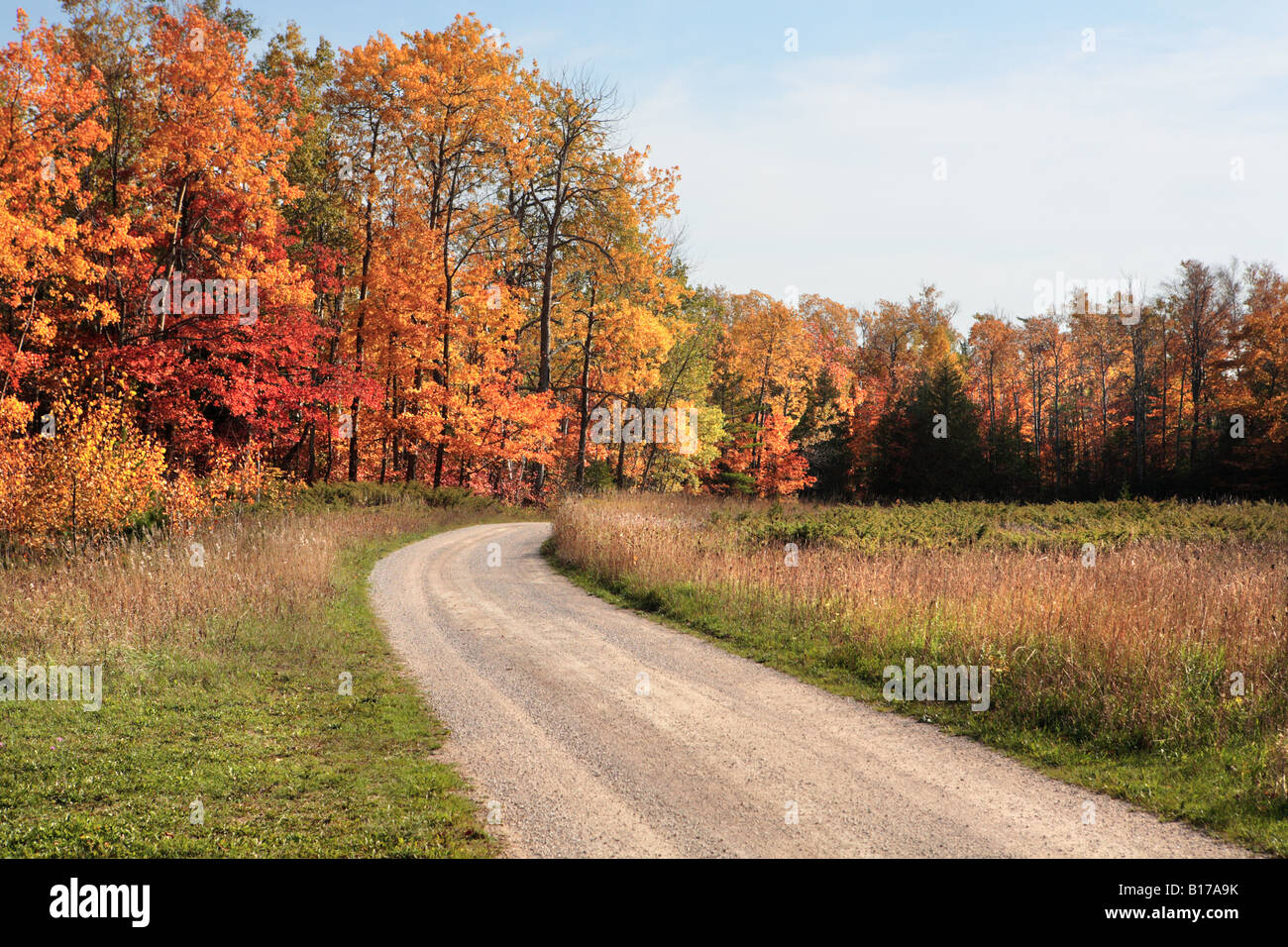AUTUMN FOREST AND A COUNTRY GRAVEL ROAD NEAR ELLISON BAY DOOR COUNTY ...
