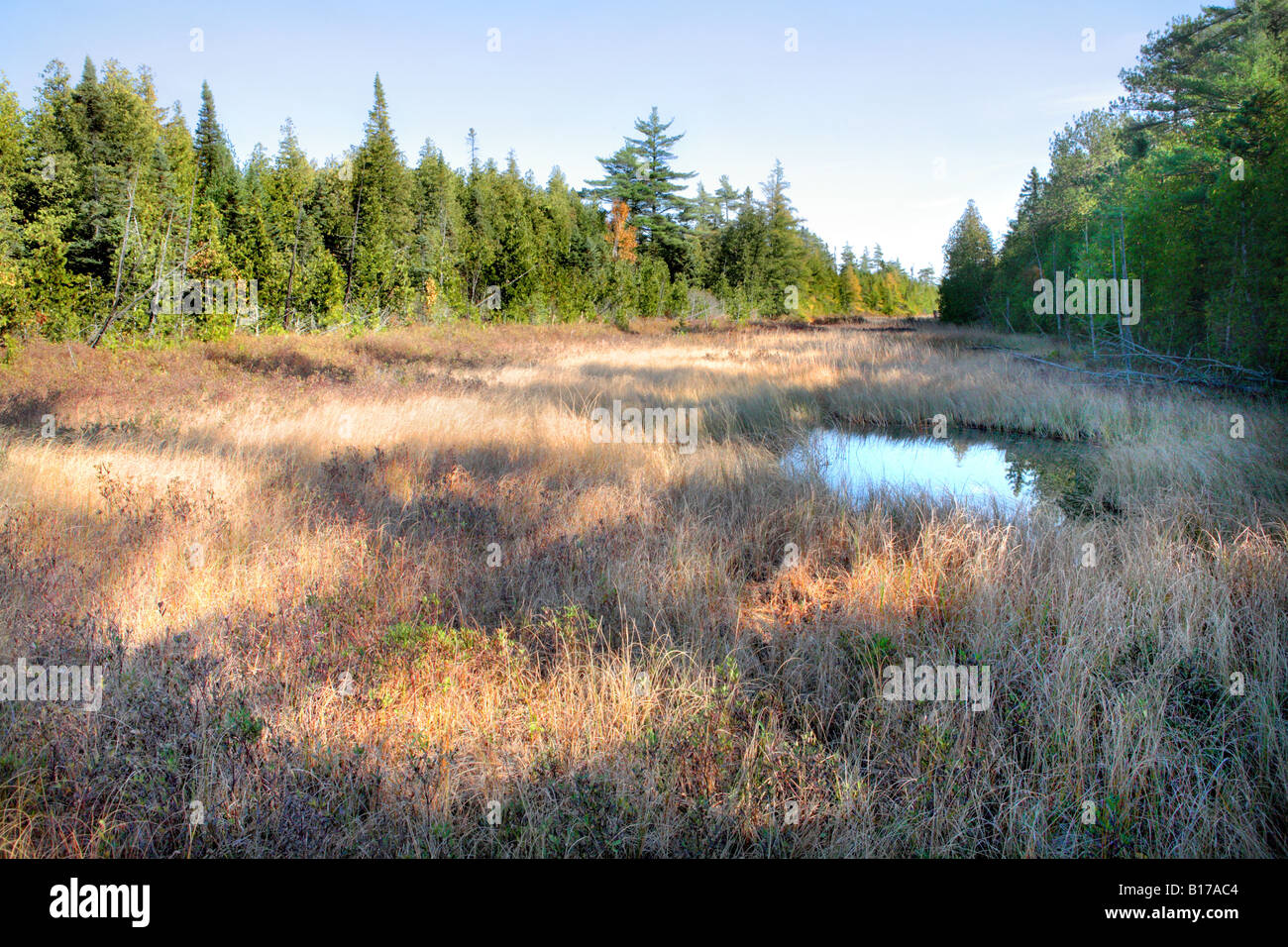 The ridges sanctuary baileys harbor hi-res stock photography and images ...