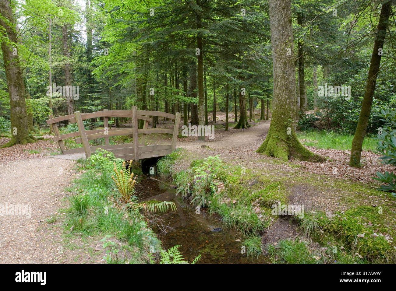 Bridge over a stream hi-res stock photography and images - Alamy