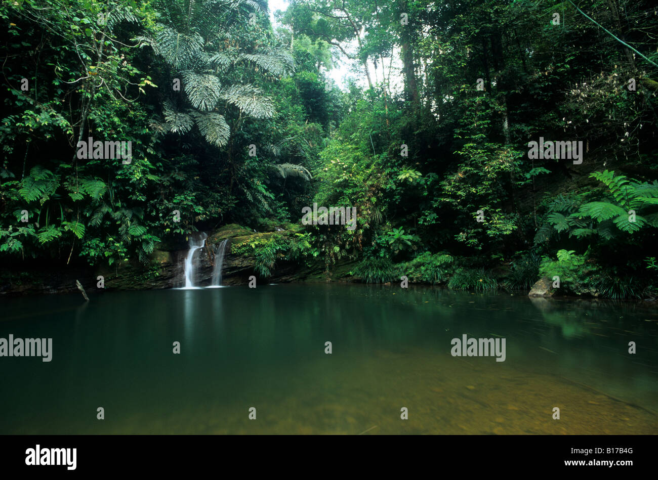 Labi Falls, Brunei Darussalam Stock Photo - Alamy