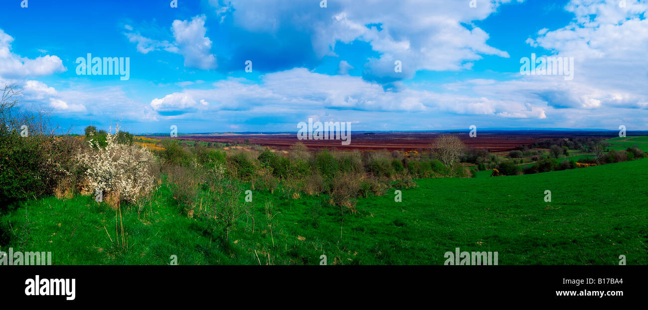 Turf, Blackwater Bog, Co Offaly, Ireland Stock Photo - Alamy