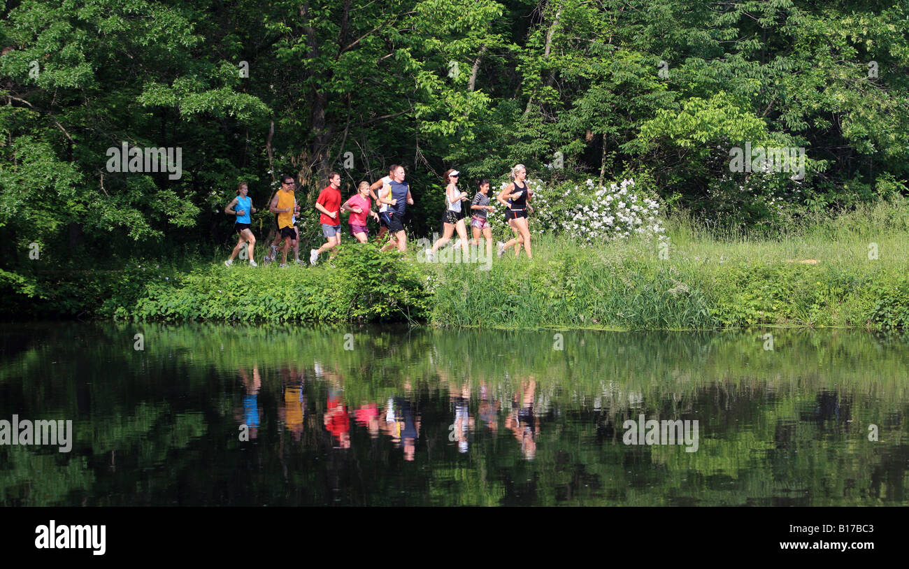 A large group of runners jogging through the forest Stock Photo - Alamy