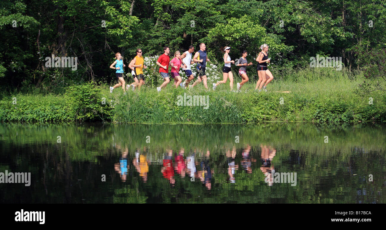 A large group of runners jogging through the forest Stock Photo - Alamy