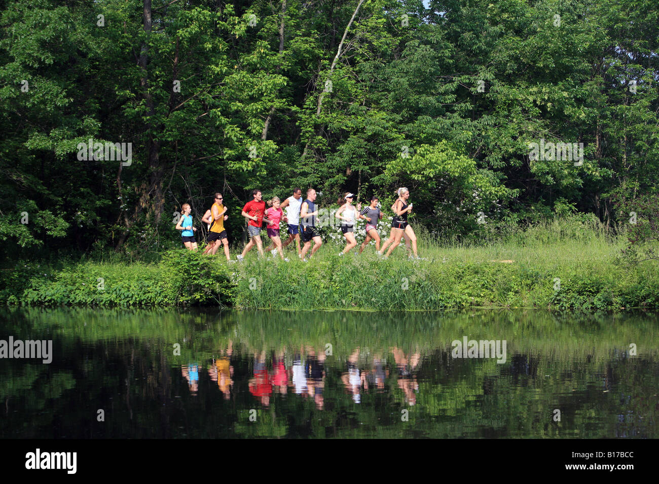 A large group of runners jogging through the forest Stock Photo - Alamy