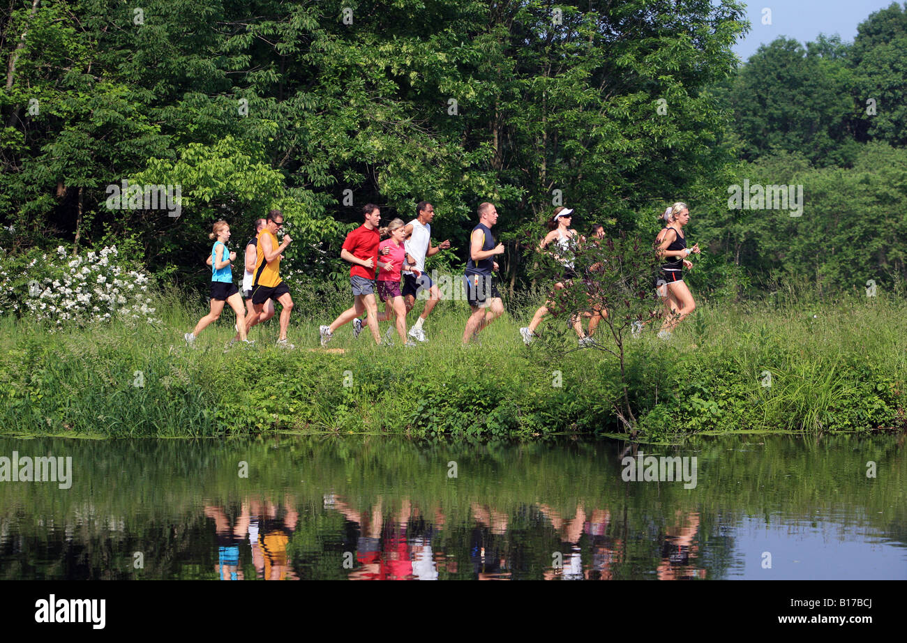 A large group of runners jogging through the forest Stock Photo - Alamy