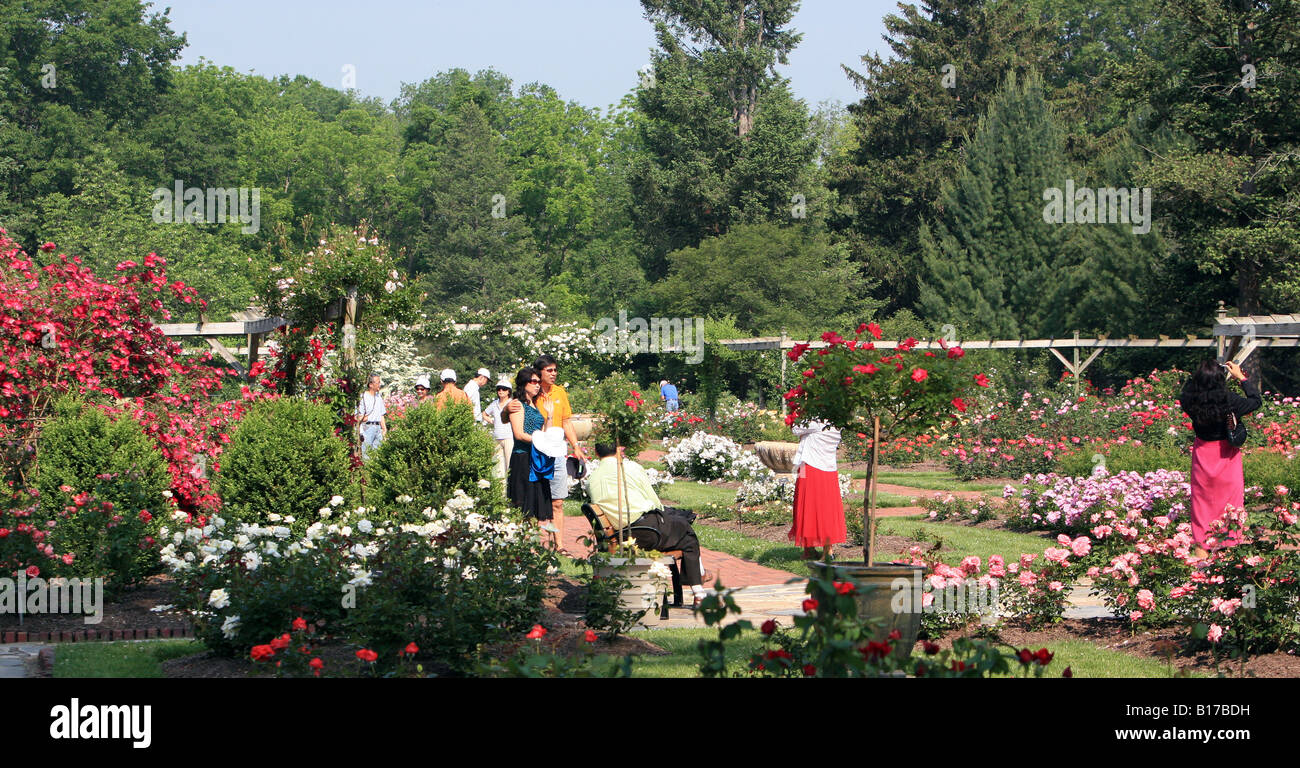 Tourists enjoying the rose garden Stock Photo - Alamy