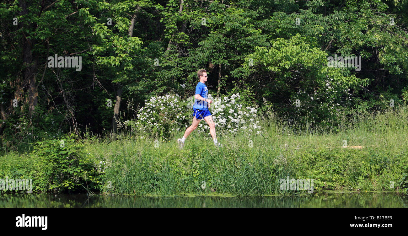 A lone runner jogging a through the forest Stock Photo - Alamy